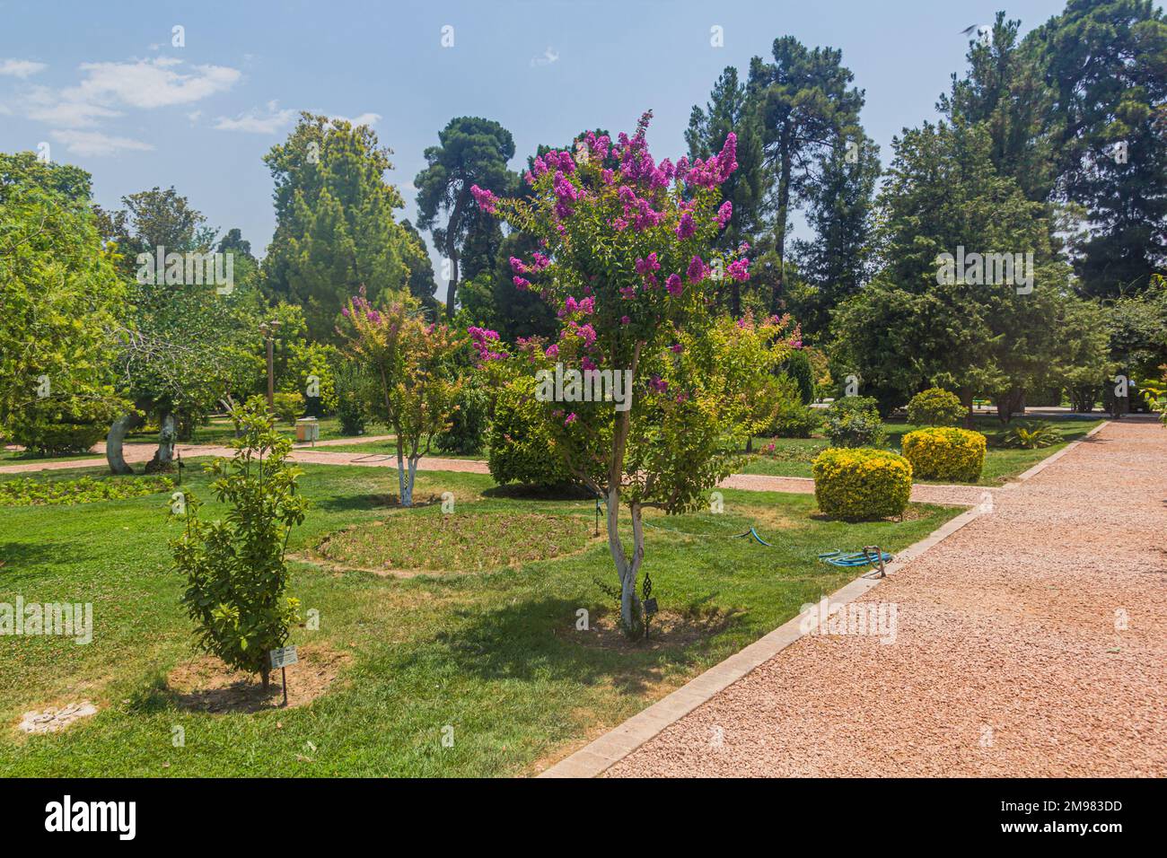 Shiraz eram park hi-res stock photography and images - Alamy