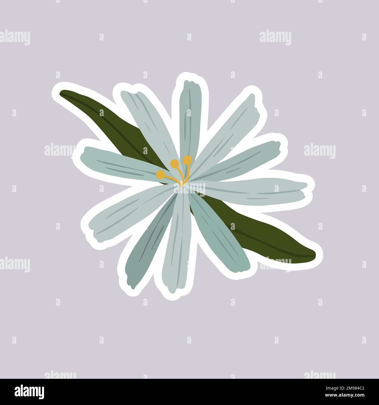 Blooming early scilla flower vector Stock Vector Image & Art - Alamy