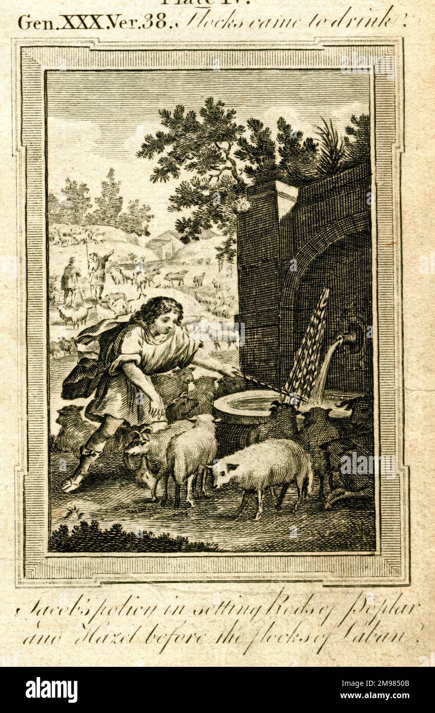 Laban From The Bible