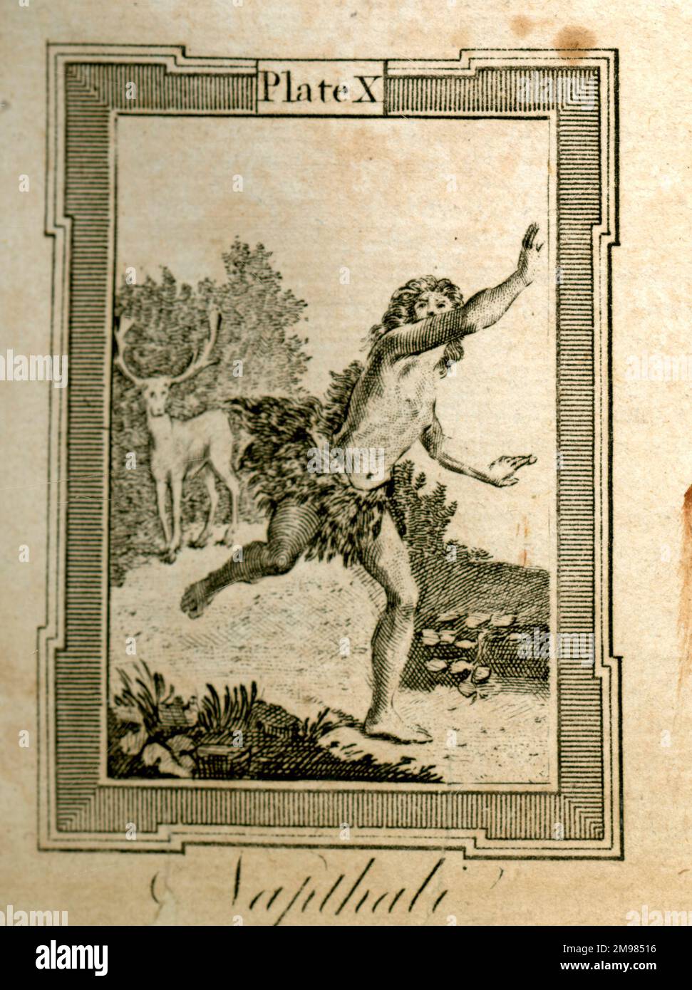 Naphtali, Old Testament patriarch, in Thomas Bankes Bible, Plate X ...