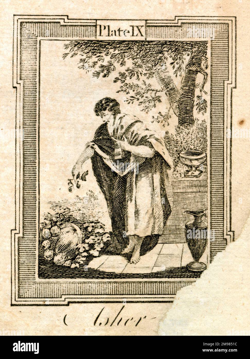 Asher, Old Testament patriarch, in Thomas Bankes Bible, Plate IX Stock ...