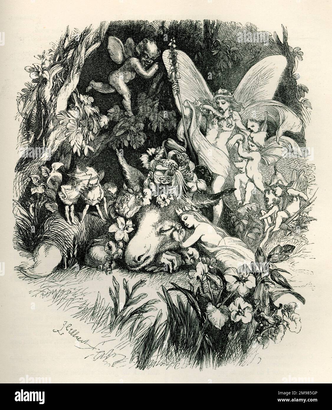 A Midsummer Night's Dream - Titania, Bottom and fairies Stock Photo - Alamy