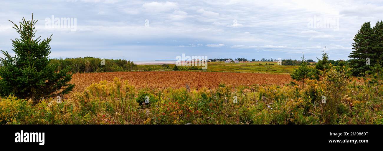 Rural landscape with coastal potato fields, Prince Edward Island ...