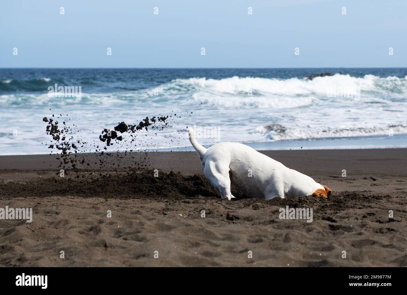 Digging hole humour hi-res stock photography and images - Alamy