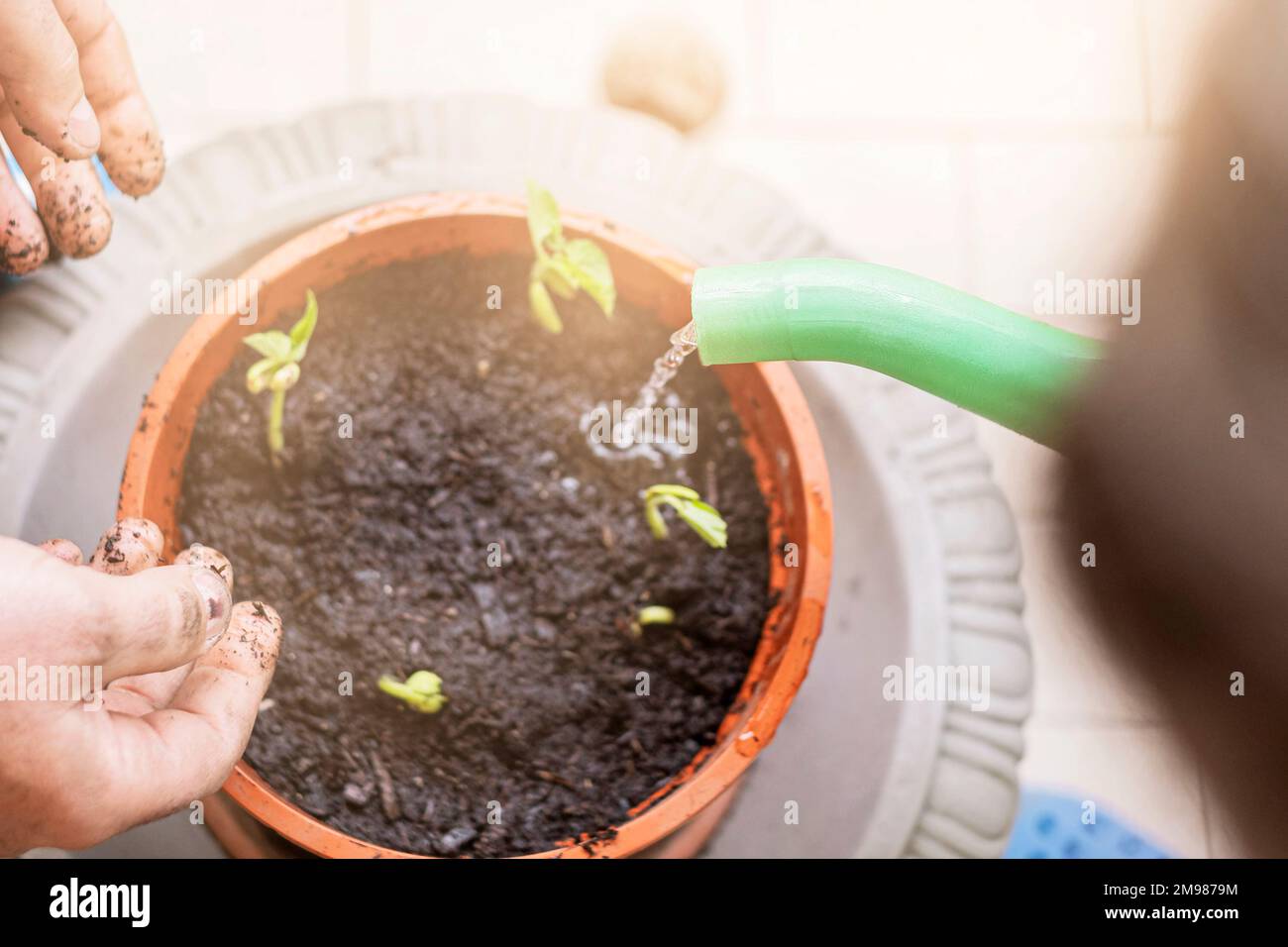 Watered land hi-res stock photography and images - Alamy