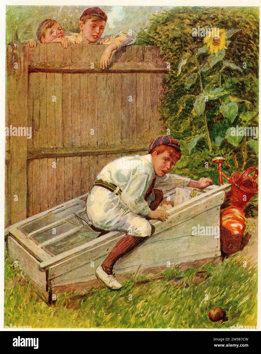 Cricket - The Lost Ball Stock Photo - Alamy