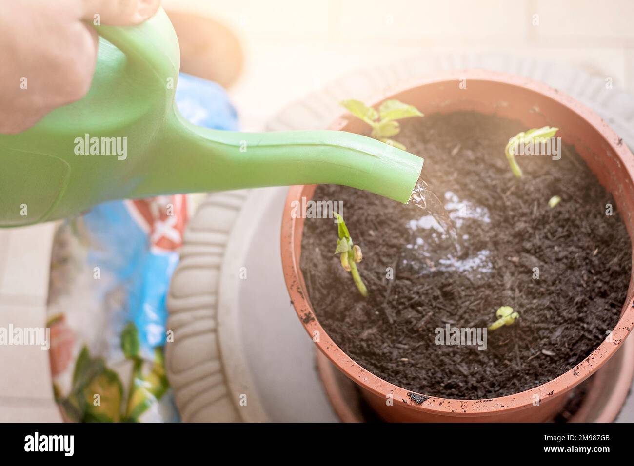 Watered land hi-res stock photography and images - Alamy