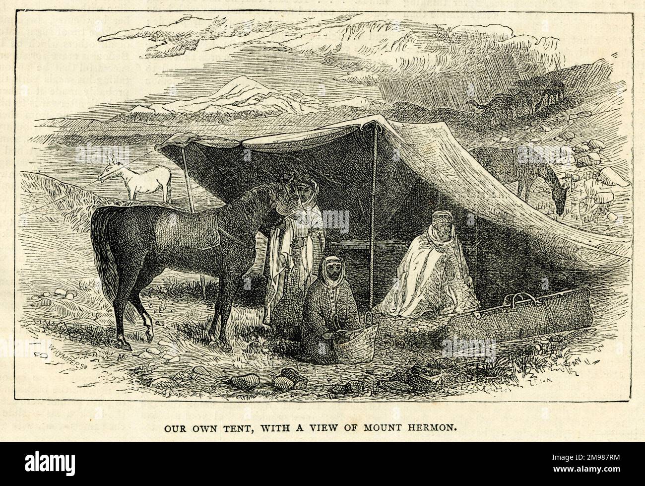 Lady Anne Blunt, 15th Baroness Wentworth (1837-1917), English traveller ...