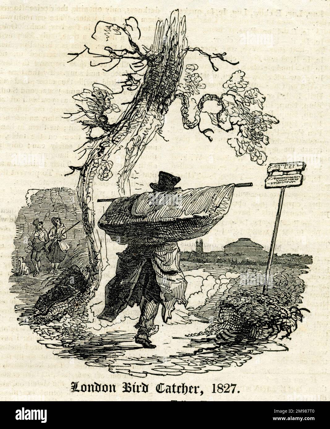 London Bird Catcher Stock Photo - Alamy