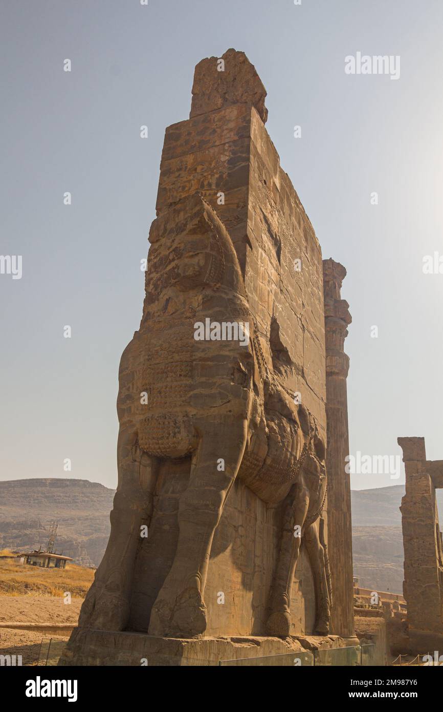 Bull capital persepolis iran hi-res stock photography and images - Alamy