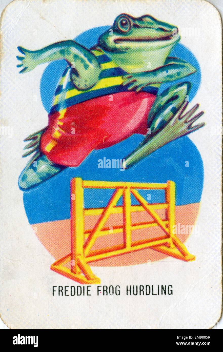 Freddie the frog hi-res stock photography and images - Alamy