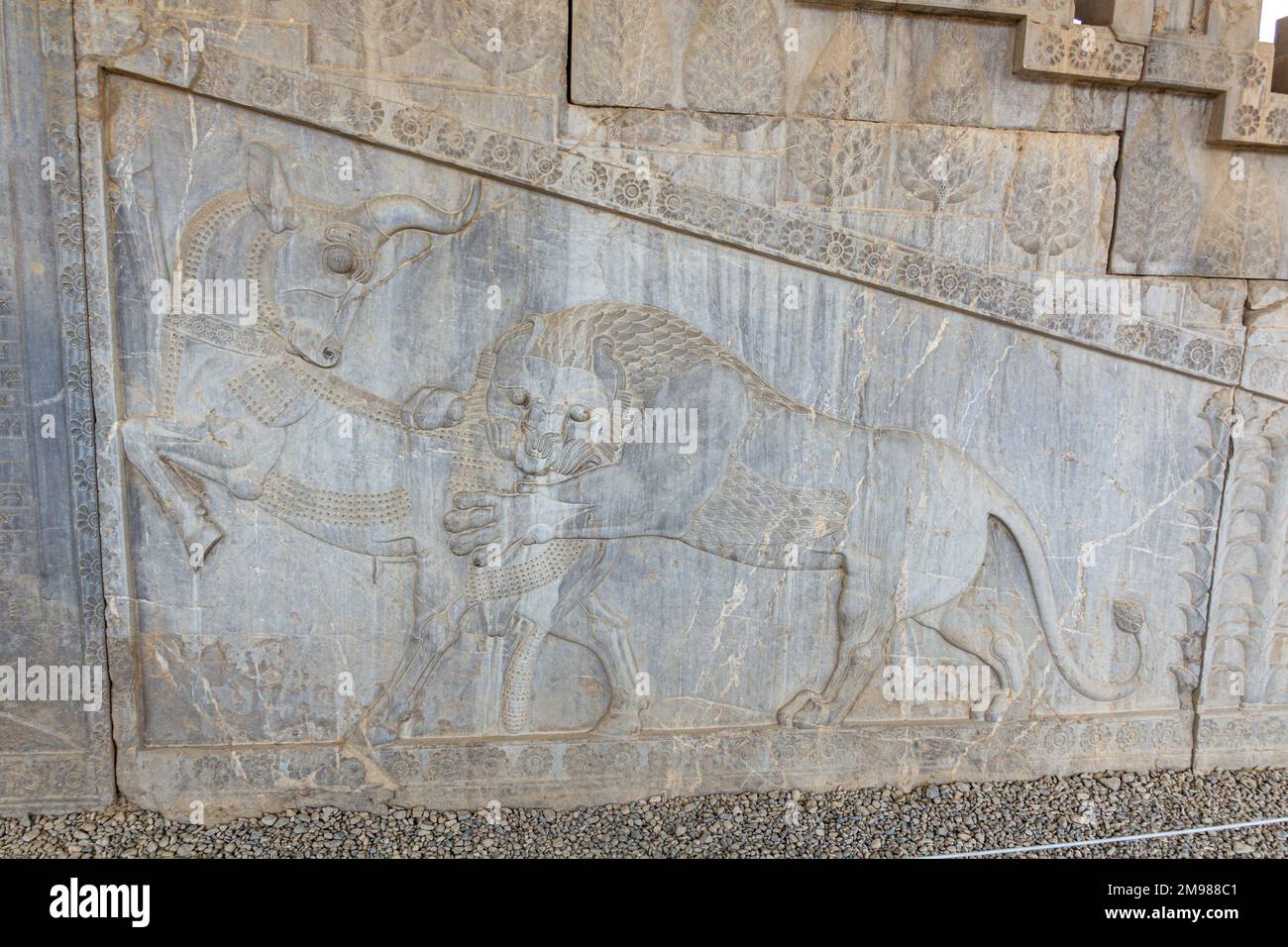 Lion attacking a bull in the ancient Persepolis, Iran Stock Photo - Alamy