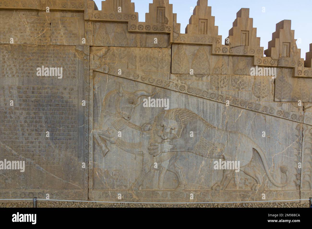 Lion attacking a bull in the ancient Persepolis, Iran Stock Photo - Alamy