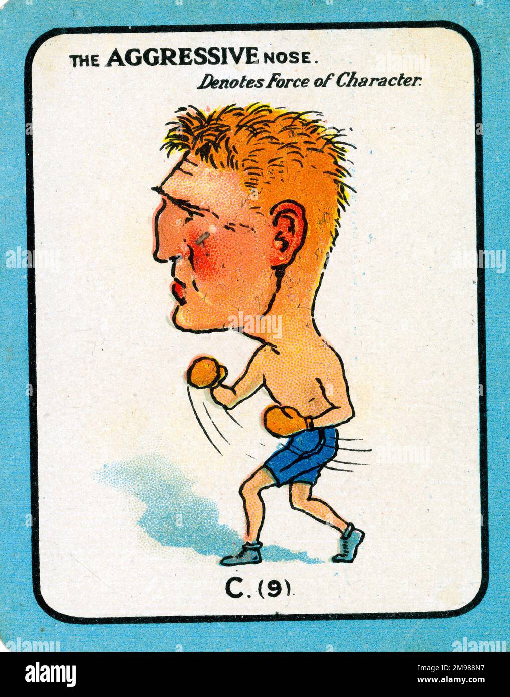 The Nose Game - Aggressive Nose C9, Denotes Force of Character Stock ...