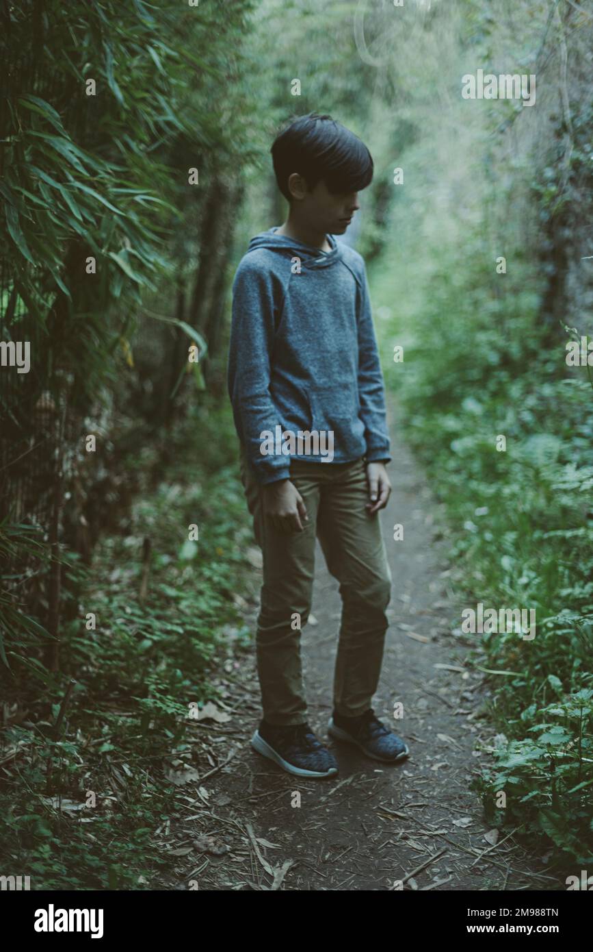 Teenage boy standing on a footpath in the forest, France Stock Photo ...