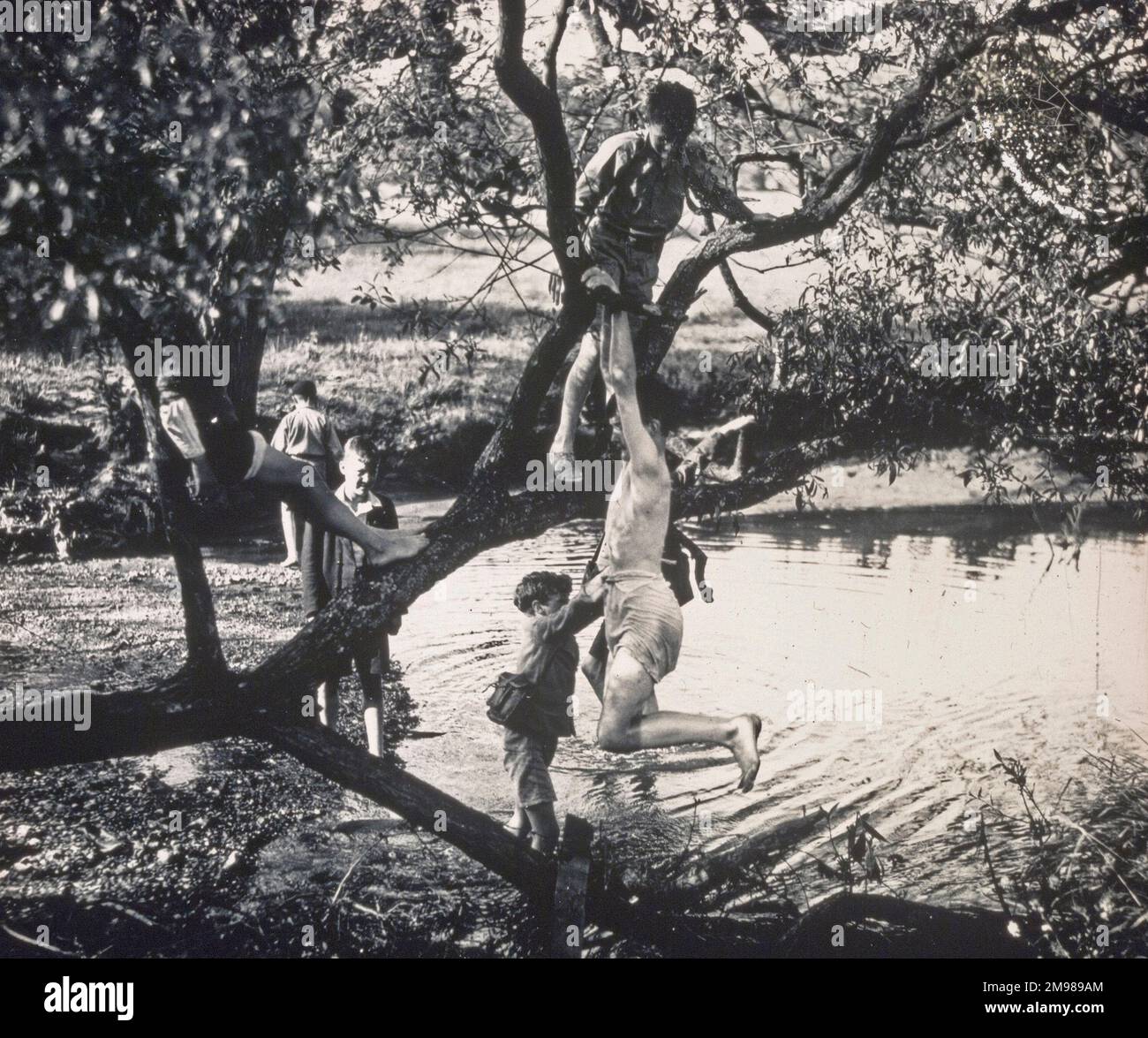 Boys climbing a tree and paddling in a stream Stock Photo - Alamy