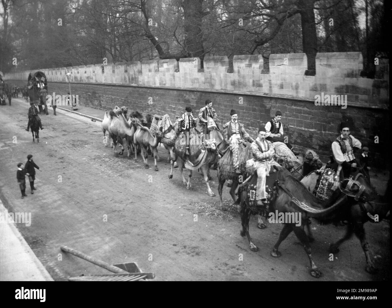 Circus troupe with camels and elephants proceeding along a road Stock ...