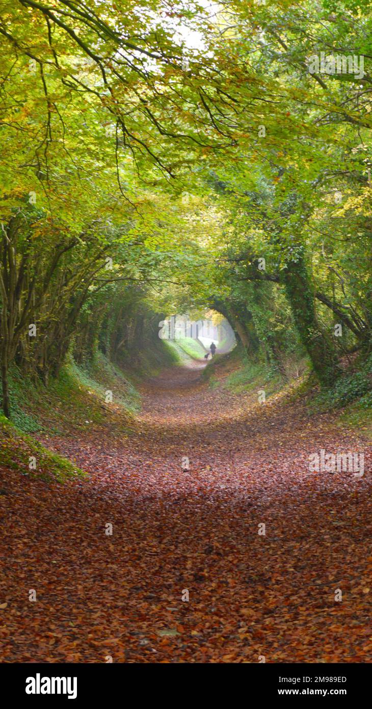 Figure in nature hi-res stock photography and images - Alamy
