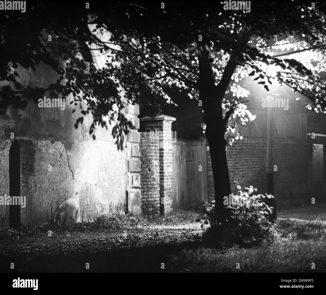 Night scene lit by lamplight Stock Photo - Alamy