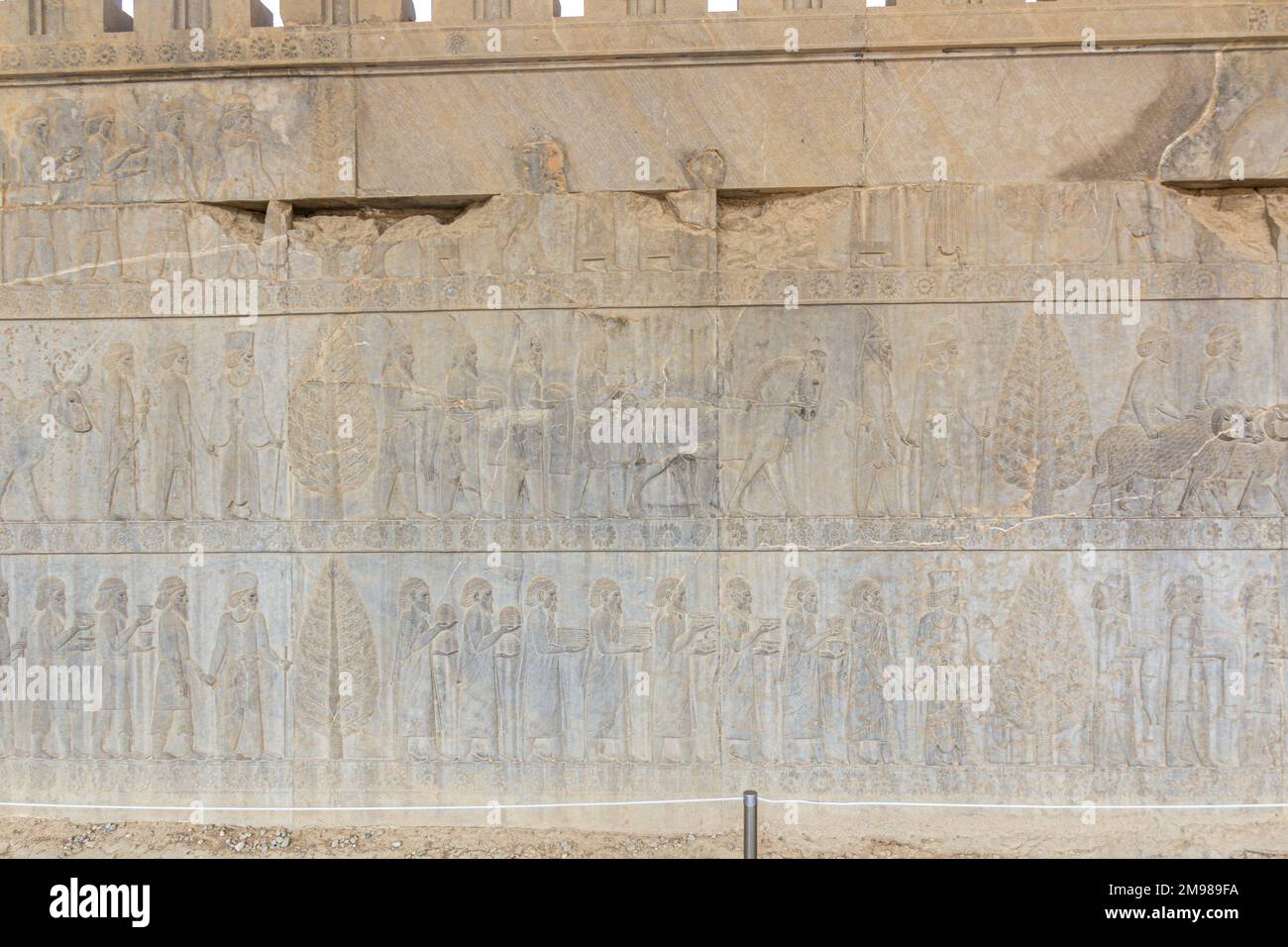 Bas reliefs at Apadana palace in the ancient Persepolis, Iran Stock ...