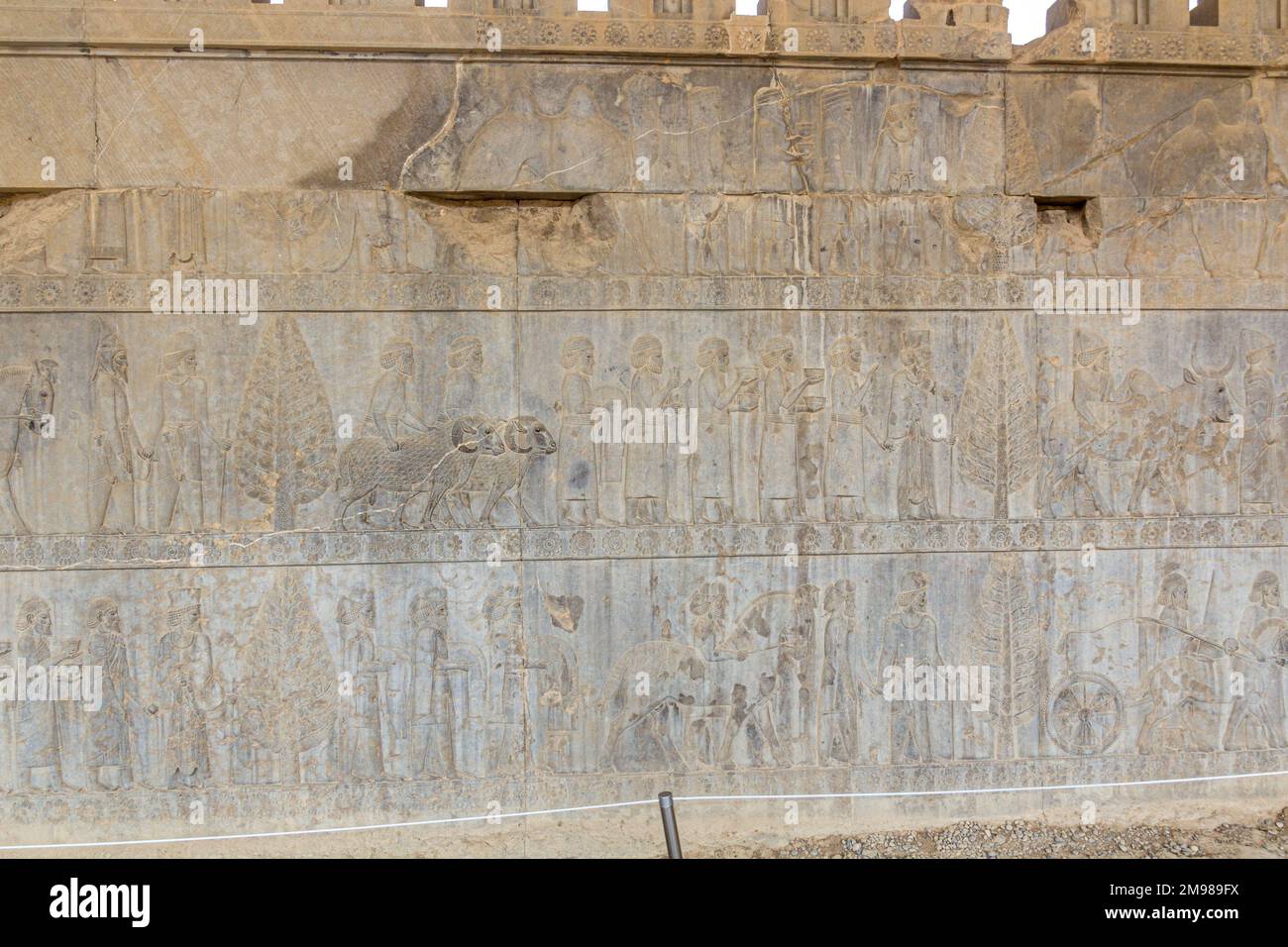 Bas reliefs at Apadana palace in the ancient Persepolis, Iran Stock ...