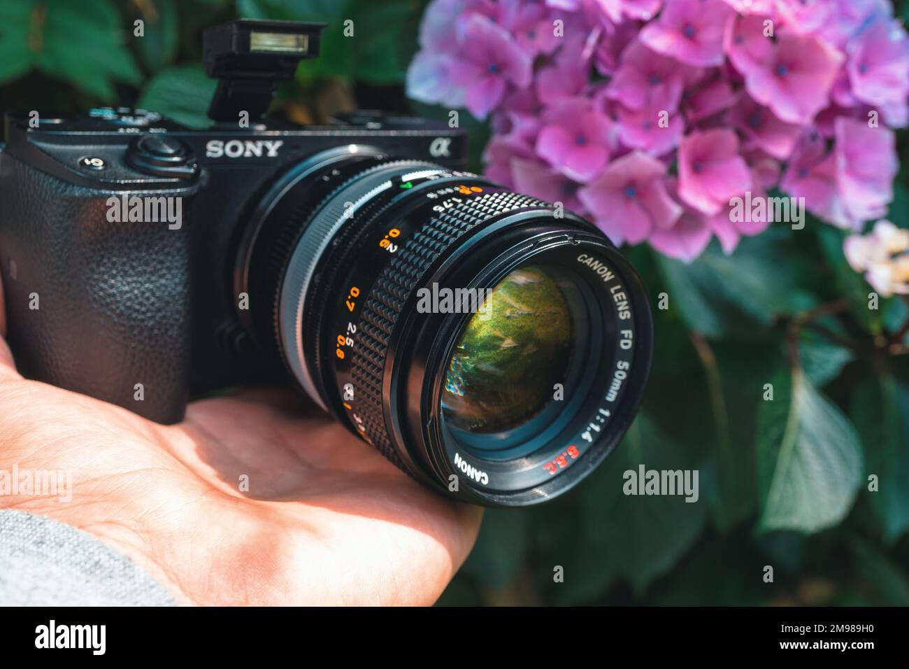Sony 6300 hi-res stock photography and images - Alamy