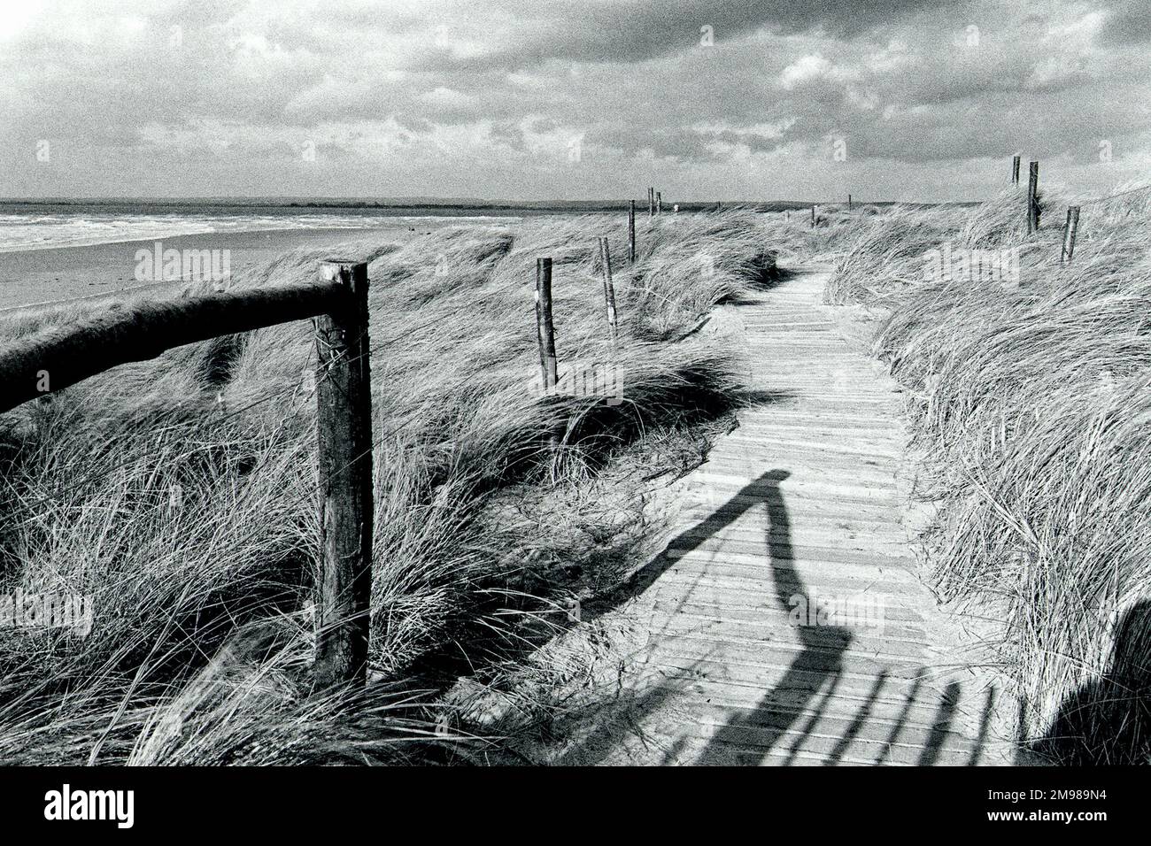 Coastal path on a windy day in West Sussex, England Stock Photo - Alamy