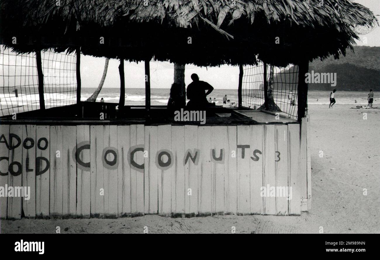 Cold Coconut stall on a beach in Trinidad, West Indies Stock Photo - Alamy