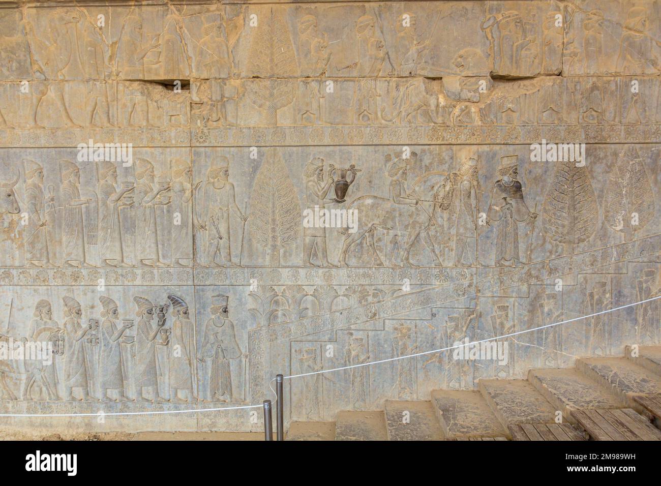 Bas reliefs at Apadana palace in the ancient Persepolis, Iran Stock ...