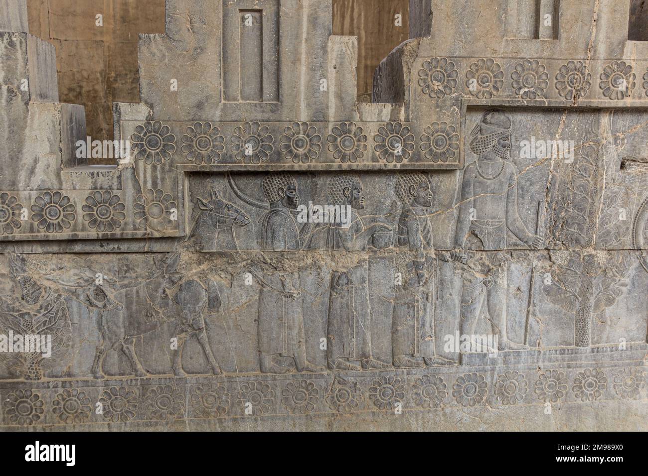 Bas reliefs at Apadana palace in the ancient Persepolis, Iran Stock ...