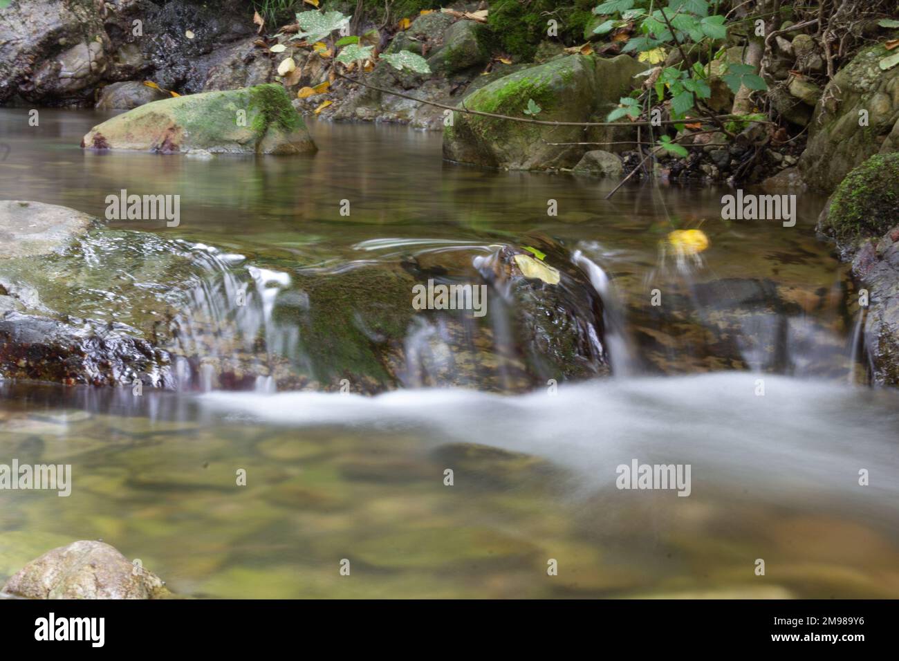 A long exposure of a stream running through a lush green forest Stock ...