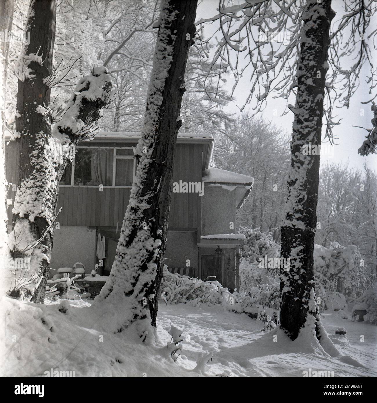 Woodland house in the snow Stock Photo - Alamy