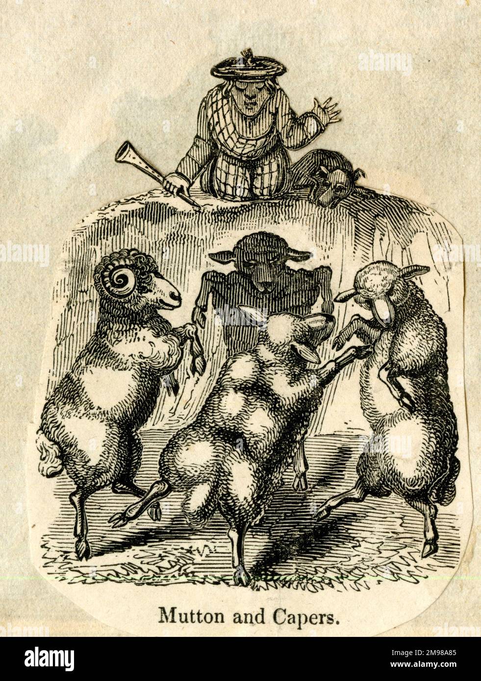 Cartoon, Mutton and Capers Stock Photo - Alamy