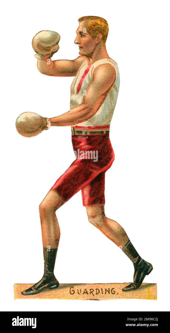 Victorian scrap - boxer guarding Stock Photo - Alamy