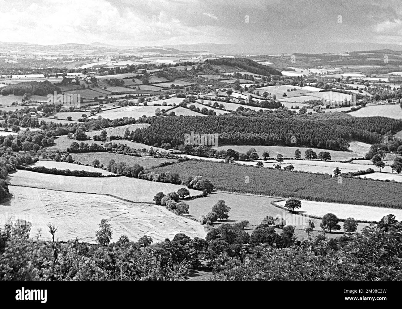 Much marcle Black and White Stock Photos & Images - Alamy