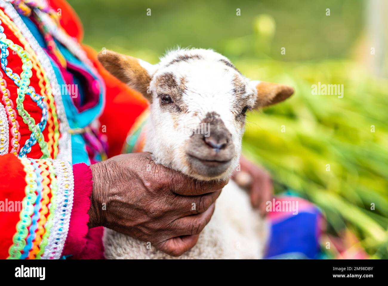 Peru national costume hi-res stock photography and images - Alamy