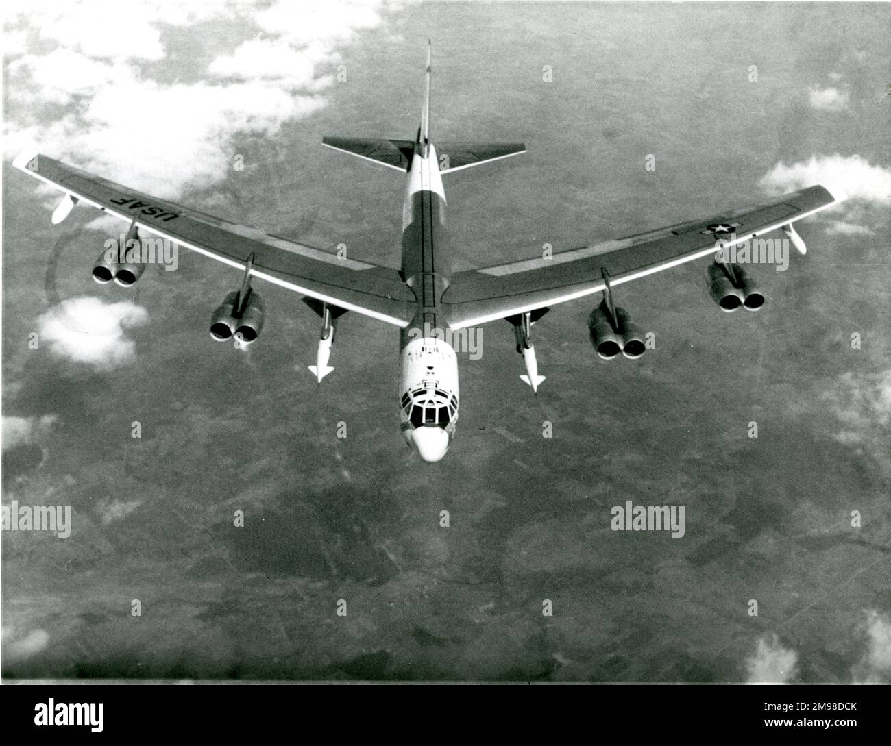 North american gam 77 hound dog hi-res stock photography and images - Alamy