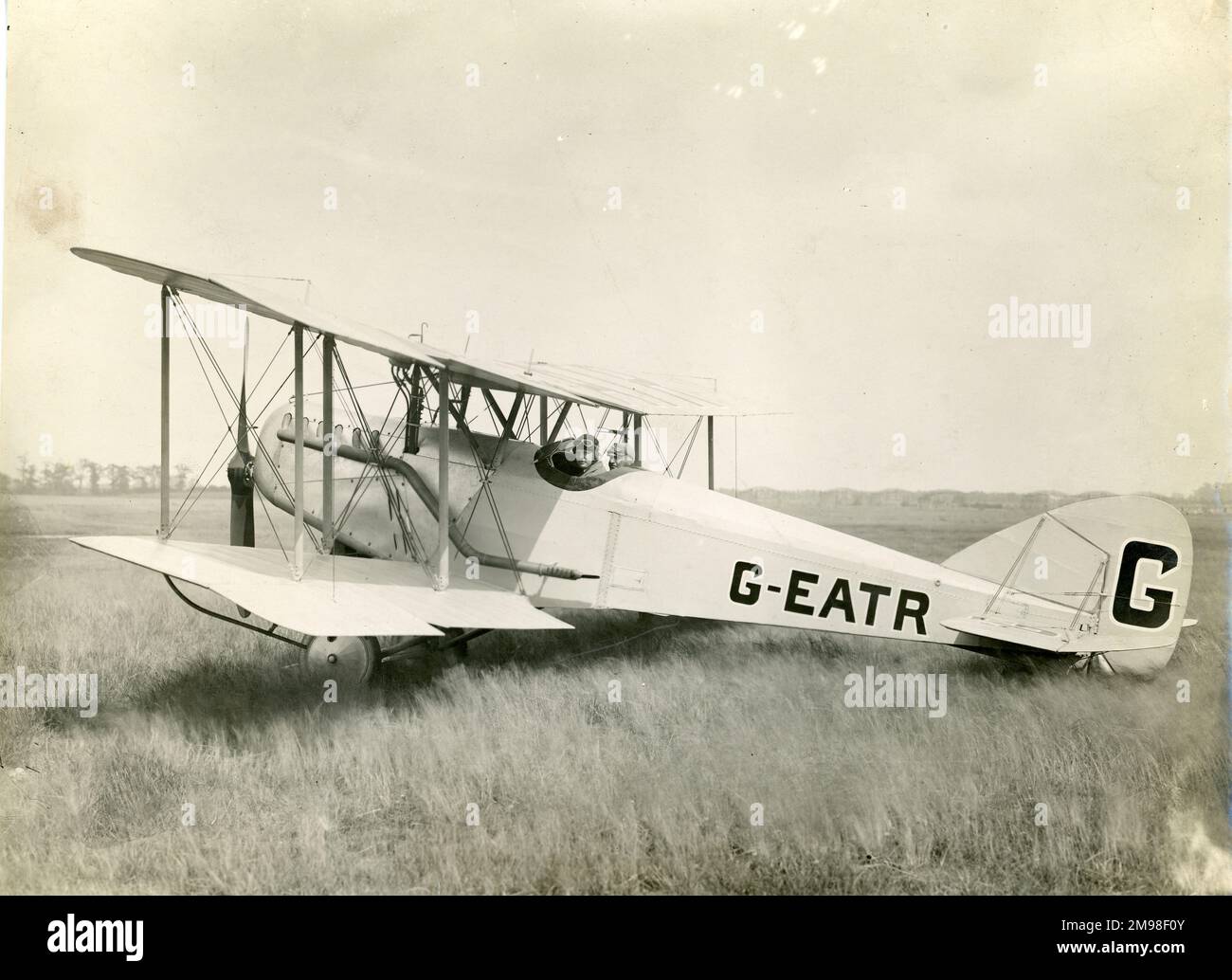 Austin kestrel hi-res stock photography and images - Alamy