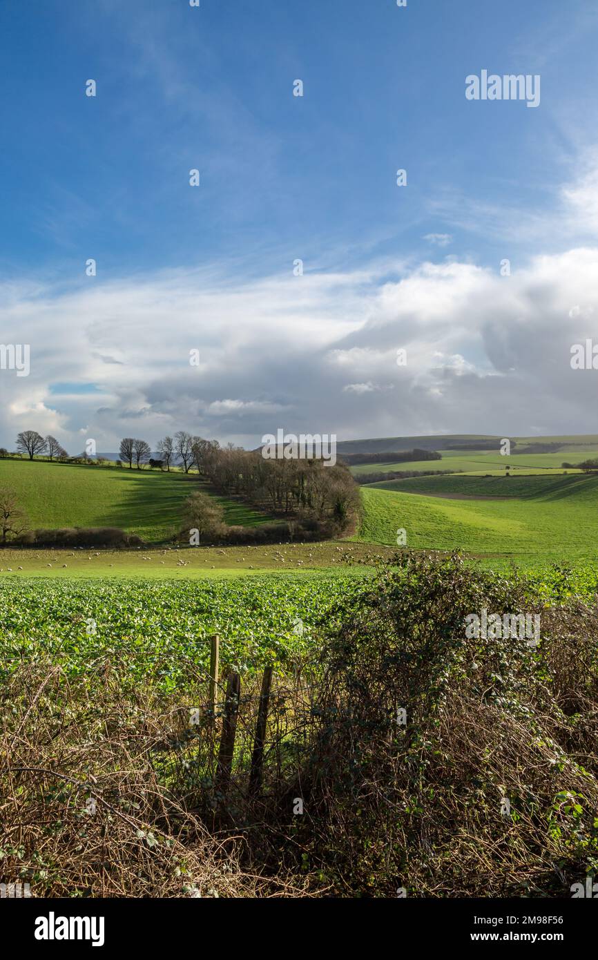 Rural winters scene hi-res stock photography and images - Alamy