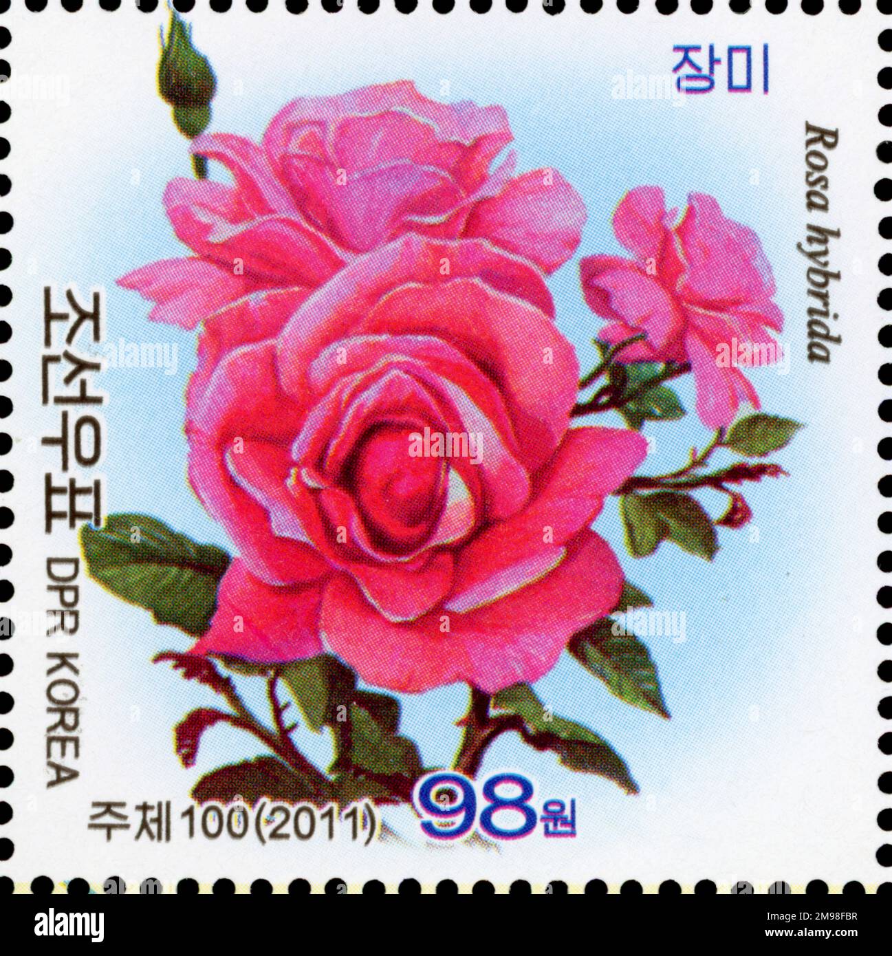 2011 North Korea stamp. 99th birthday of Kim Il Sung, Flowers gifted to ...