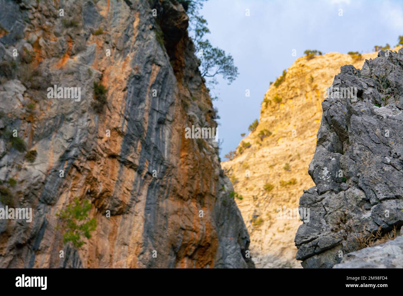 Rocky Mountains in Turkey. Vegetation on stone rocks. Detailed image of ...