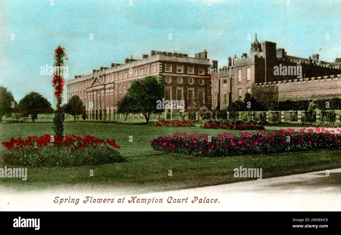 Spring Flowers, Hampton Court Palace, London Stock Photo - Alamy