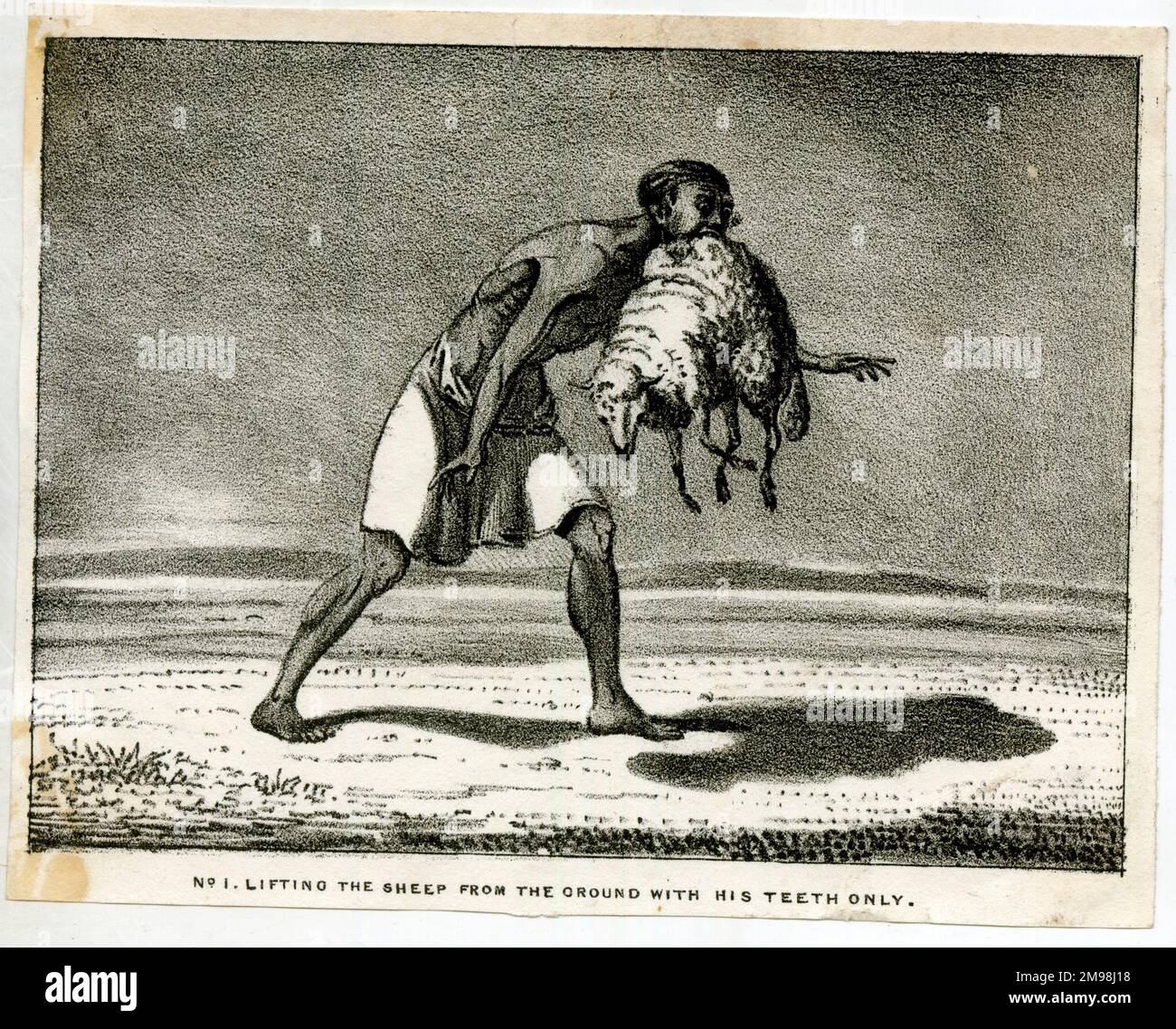 The Sheep-Eater of Hindustan, No. 1, Lifting the sheep from the ground ...
