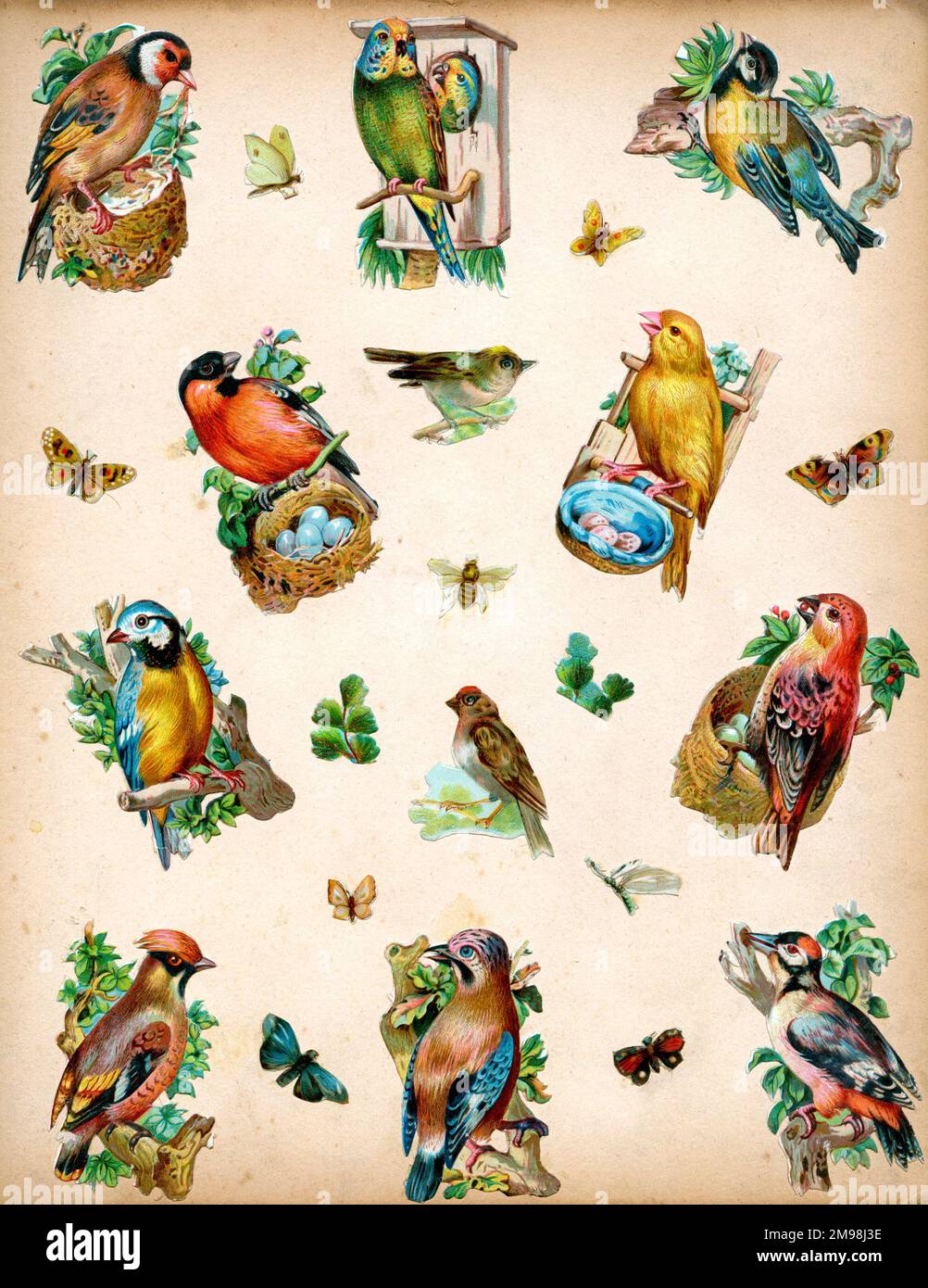 Victorian insect hi-res stock photography and images - Alamy