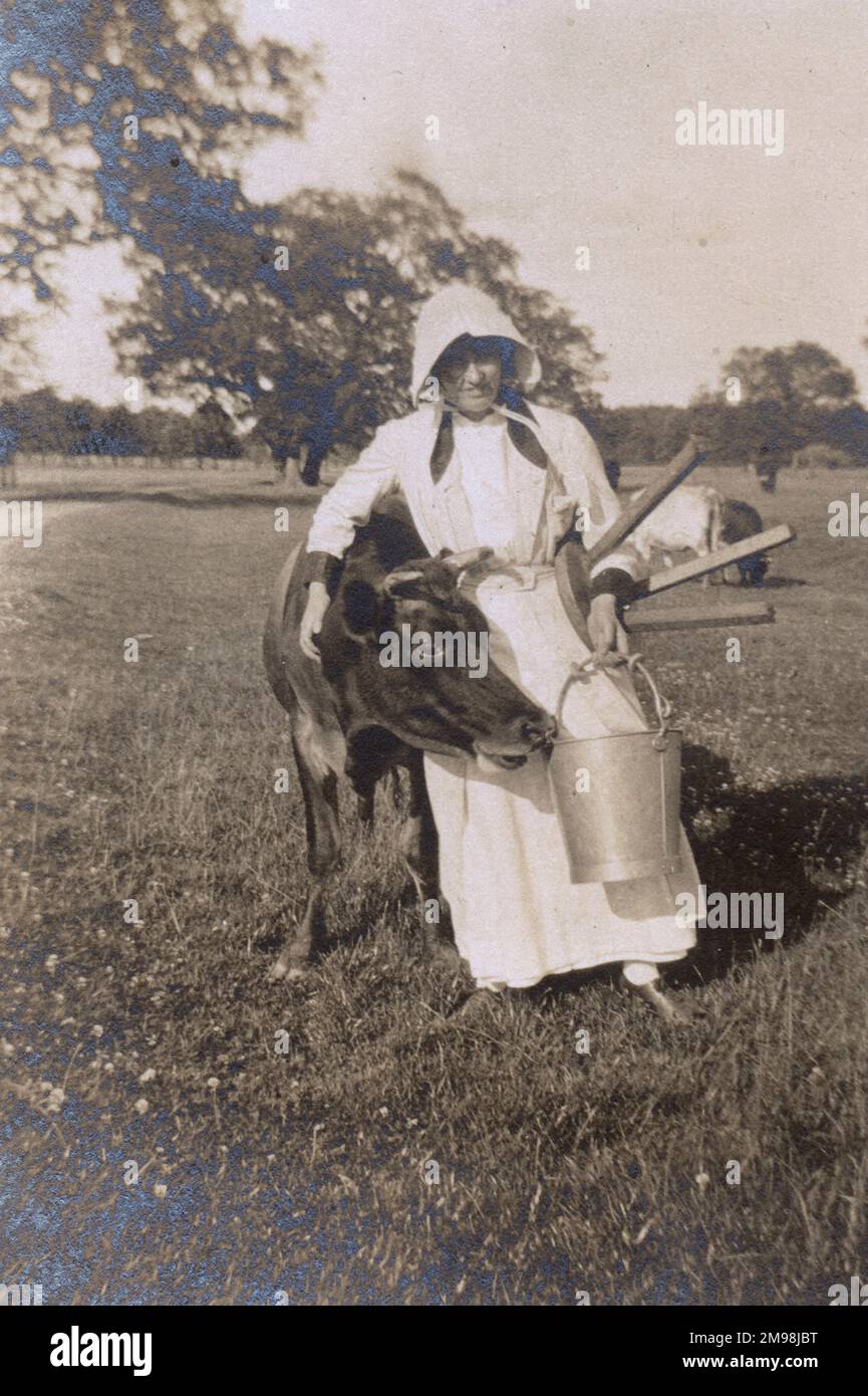Agriculture during ww1 hi-res stock photography and images - Alamy