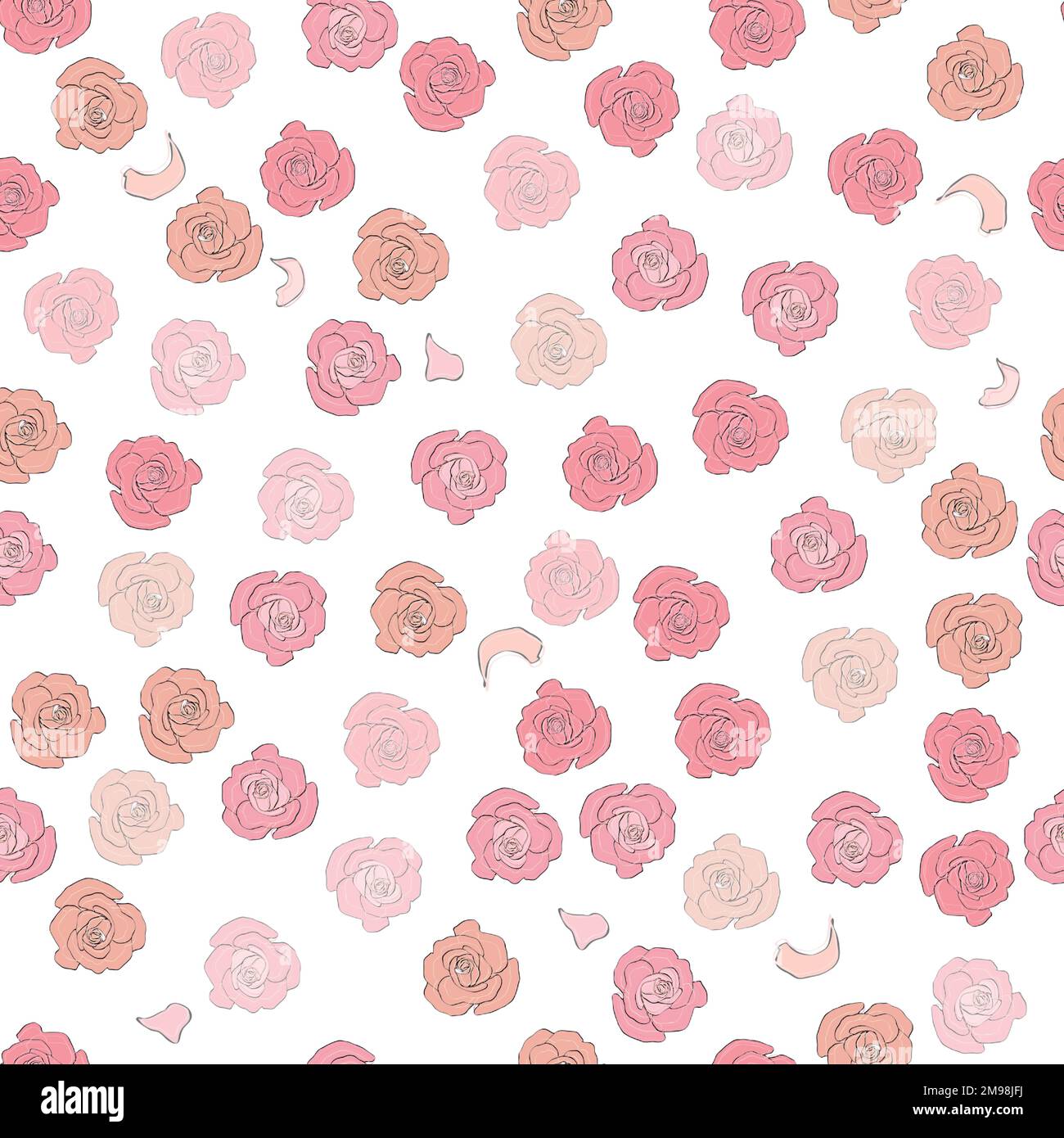 Apricot english rose Stock Vector Images - Alamy