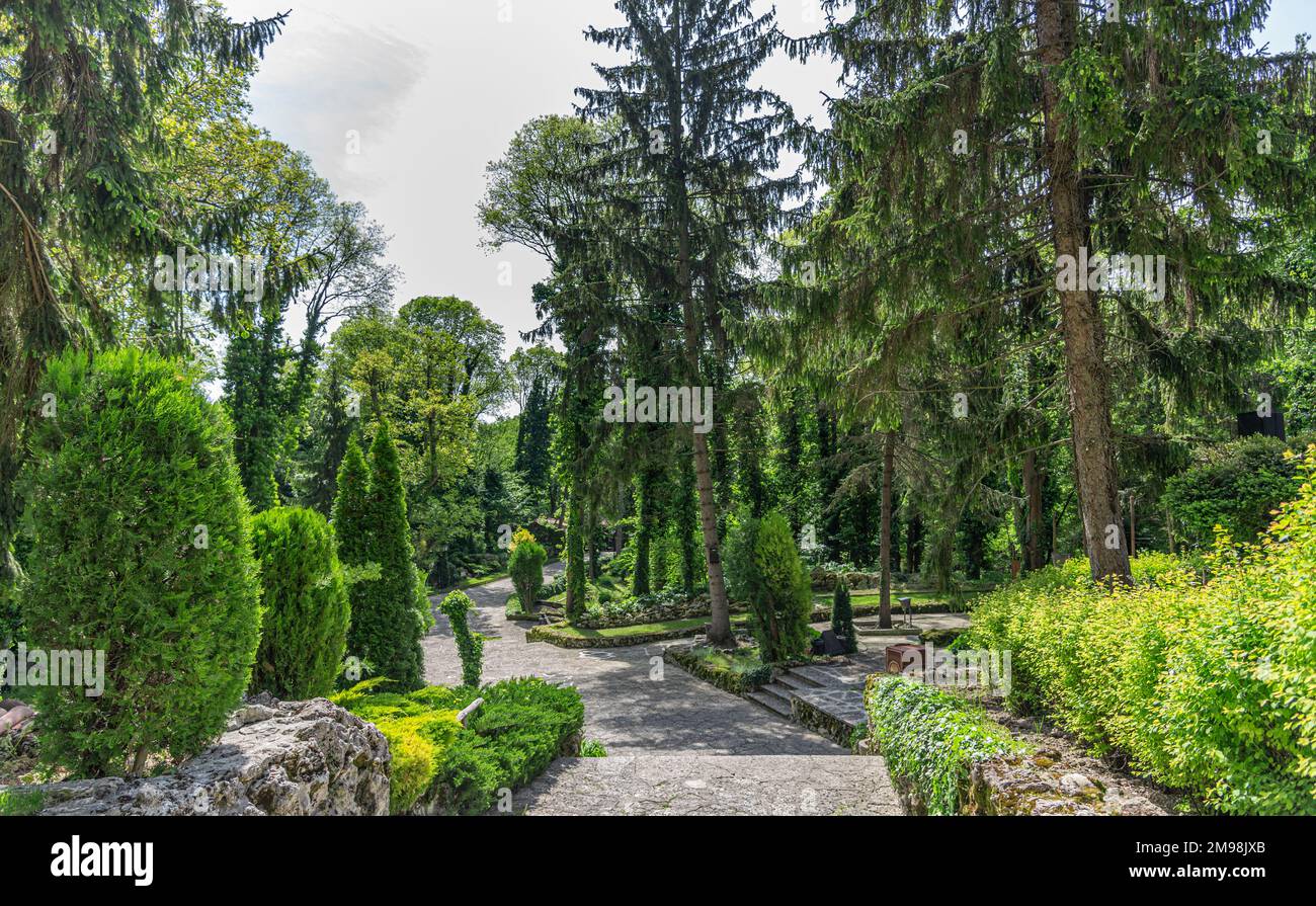 Park with trees and stone paths Stock Photo - Alamy