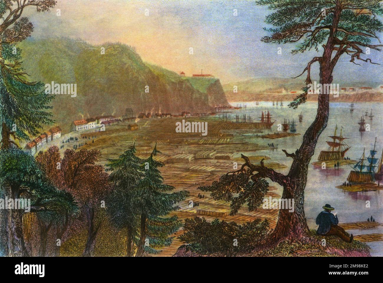 Timber logging canada quebec hi-res stock photography and images - Alamy