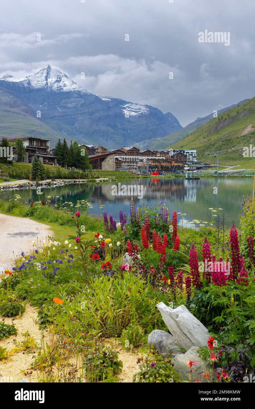 Spring and summer landscape, Tignes, Vanoise national park, France ...