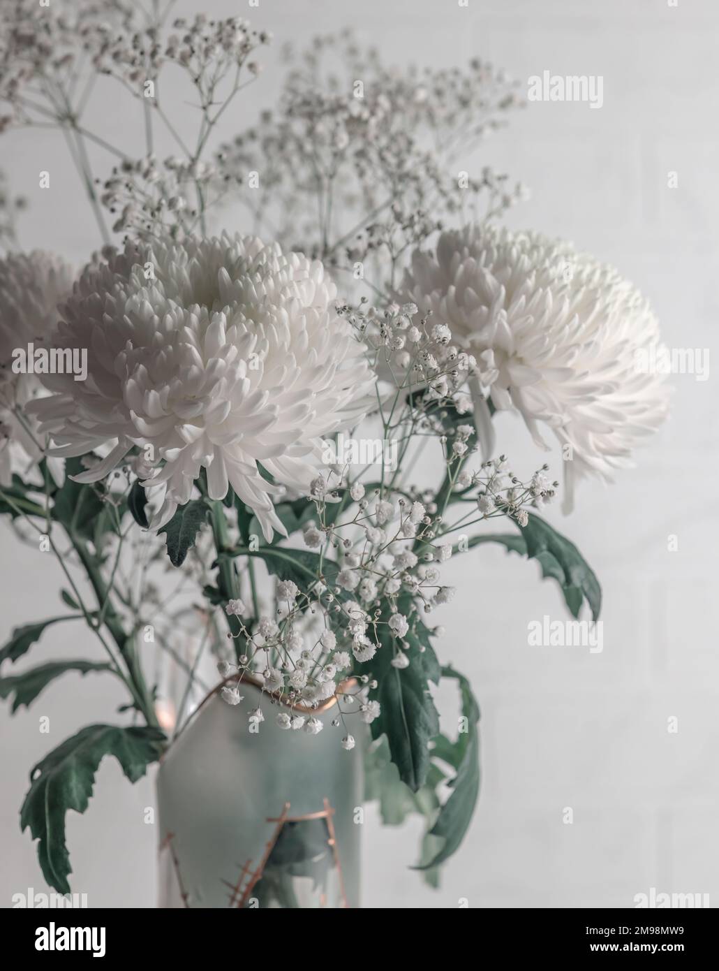 bouquet of white chrysanthemums and gypsophila paniculata Stock Photo ...